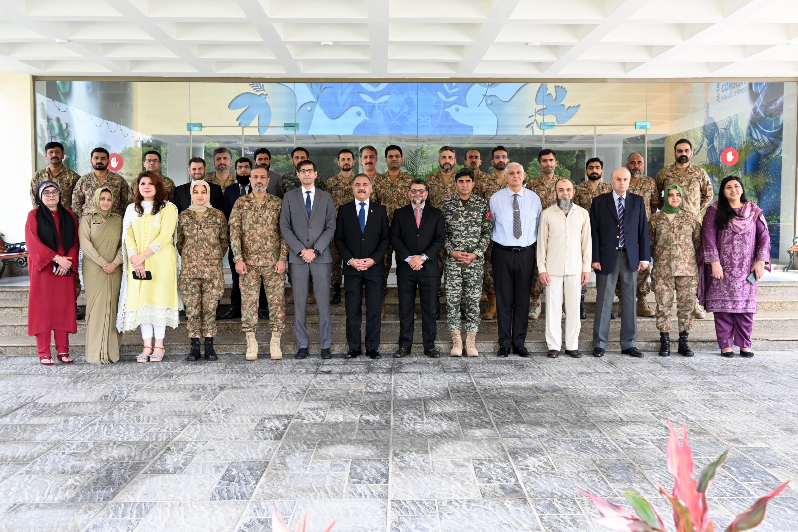 Centre for International Peace & Stability (CIPS)